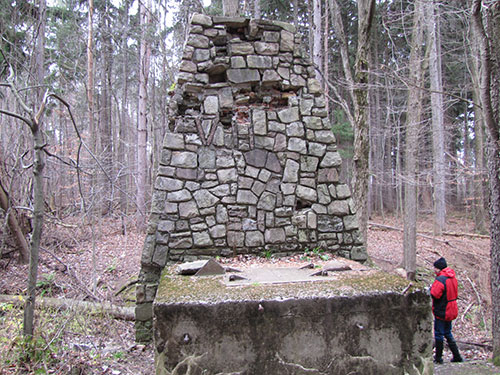 Wilderness Walk-About at Chestnut Ridge - Chestnut Ridge Conservancy