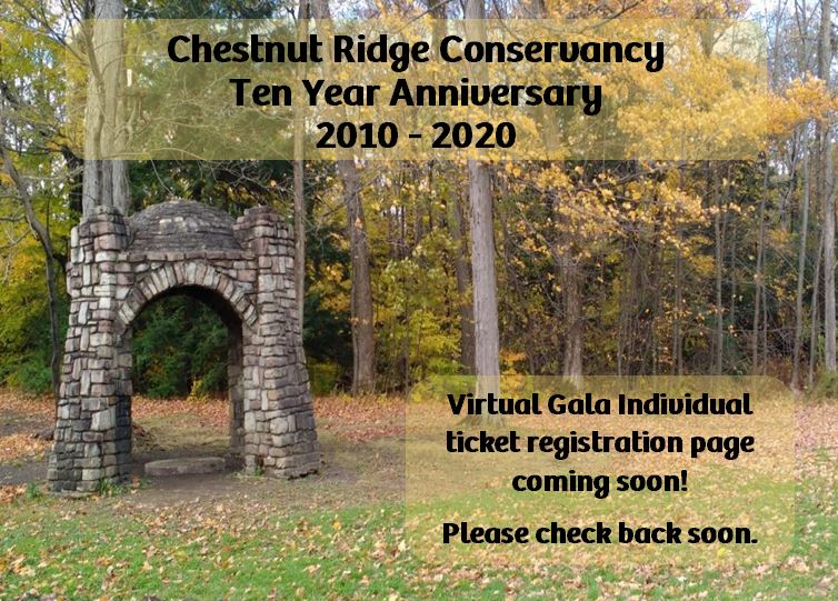 Welcome to the Chestnut Ridge Conservancy! - Chestnut Ridge Conservancy